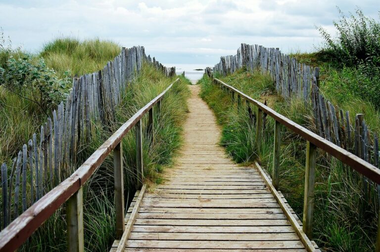 St Andrews West Sands Beach | Fife Coast